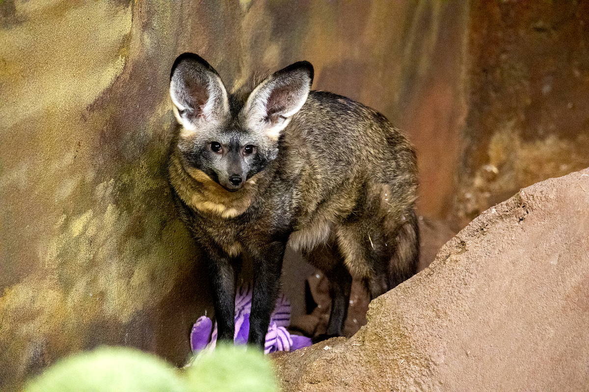 Students Visit the Boonshoft Museum of Discovery - TRECA