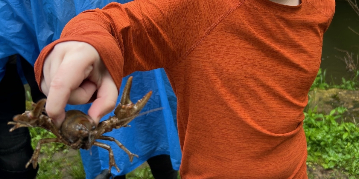 Students Visit Lowe-Volk Nature Center - TRECA