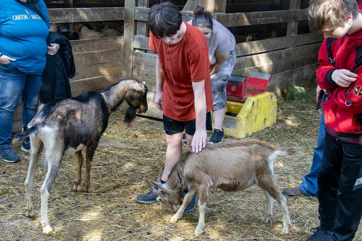 Online School | Serving Ohio | TRECA - TRECA