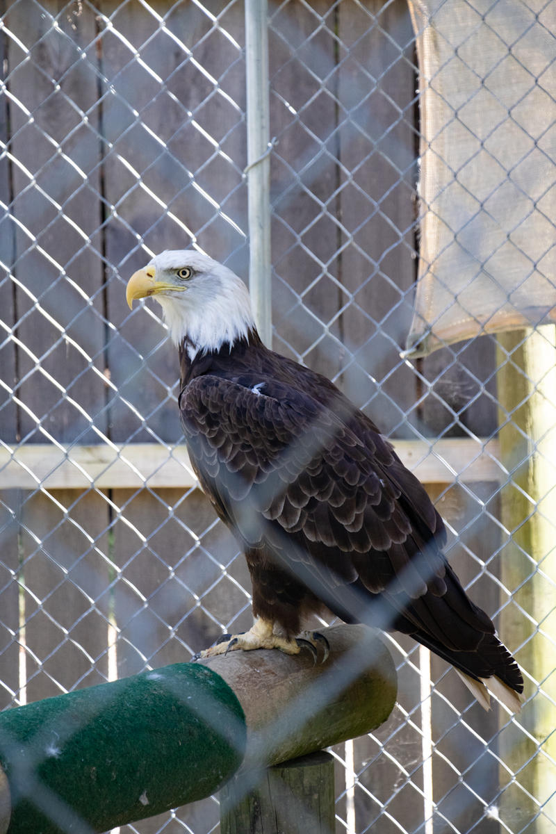 Students visit Union Ridge Wildlife Center - TRECA