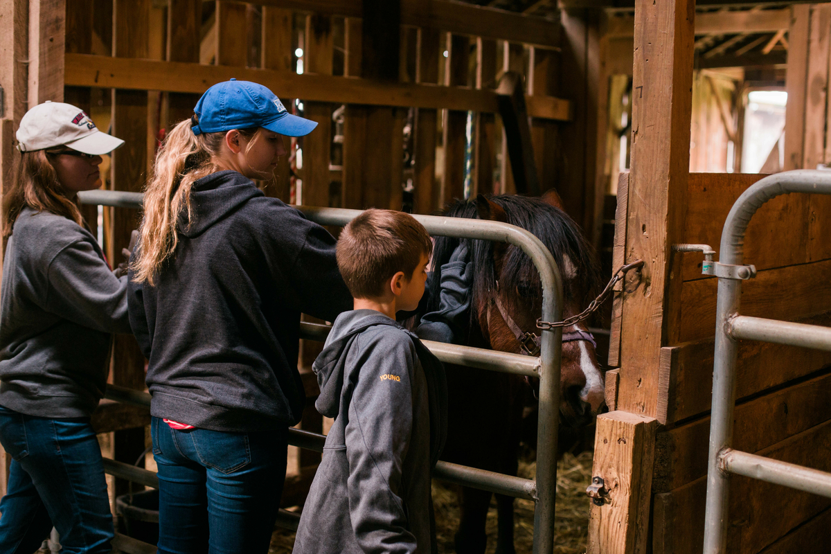 Digital Academy students visit the Learning Tree Farm - TRECA