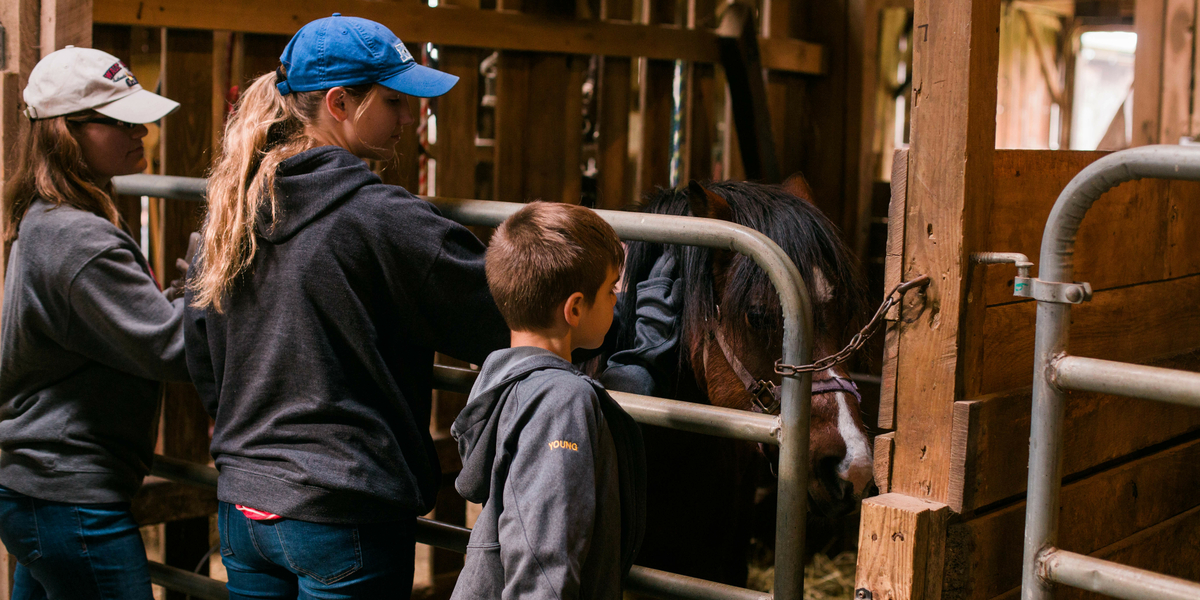 Digital Academy students visit the Learning Tree Farm - TRECA
