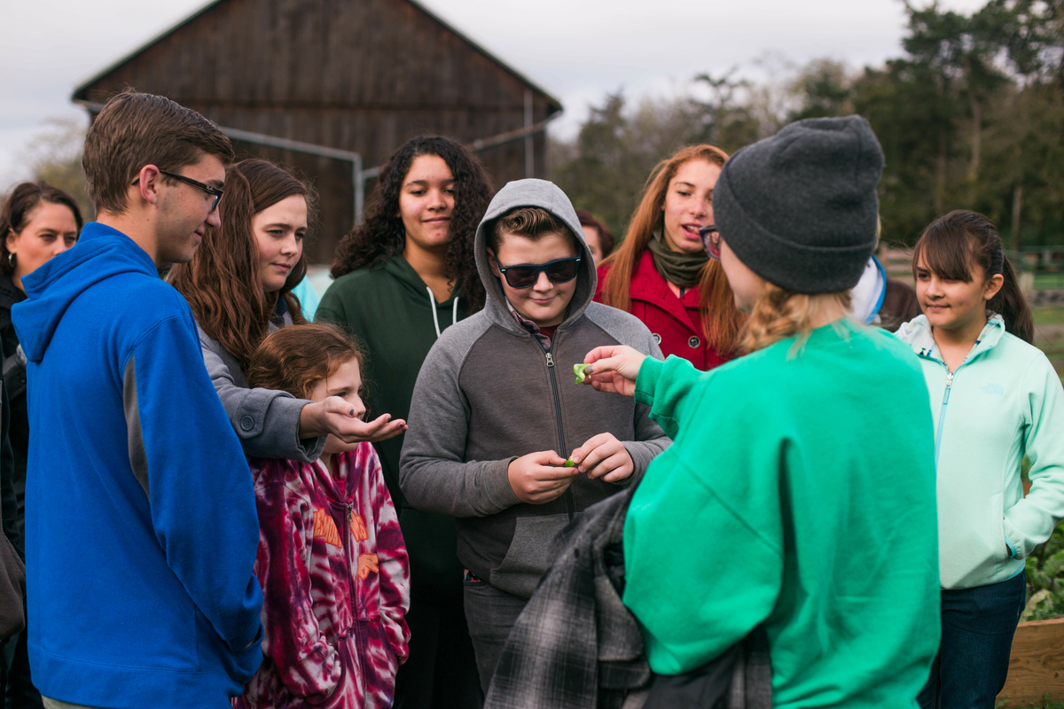 Digital Academy students visit the Learning Tree Farm - TRECA
