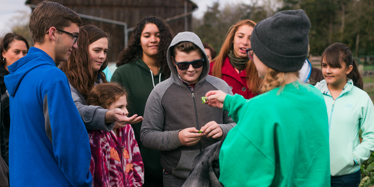 Digital Academy students visit the Learning Tree Farm - TRECA