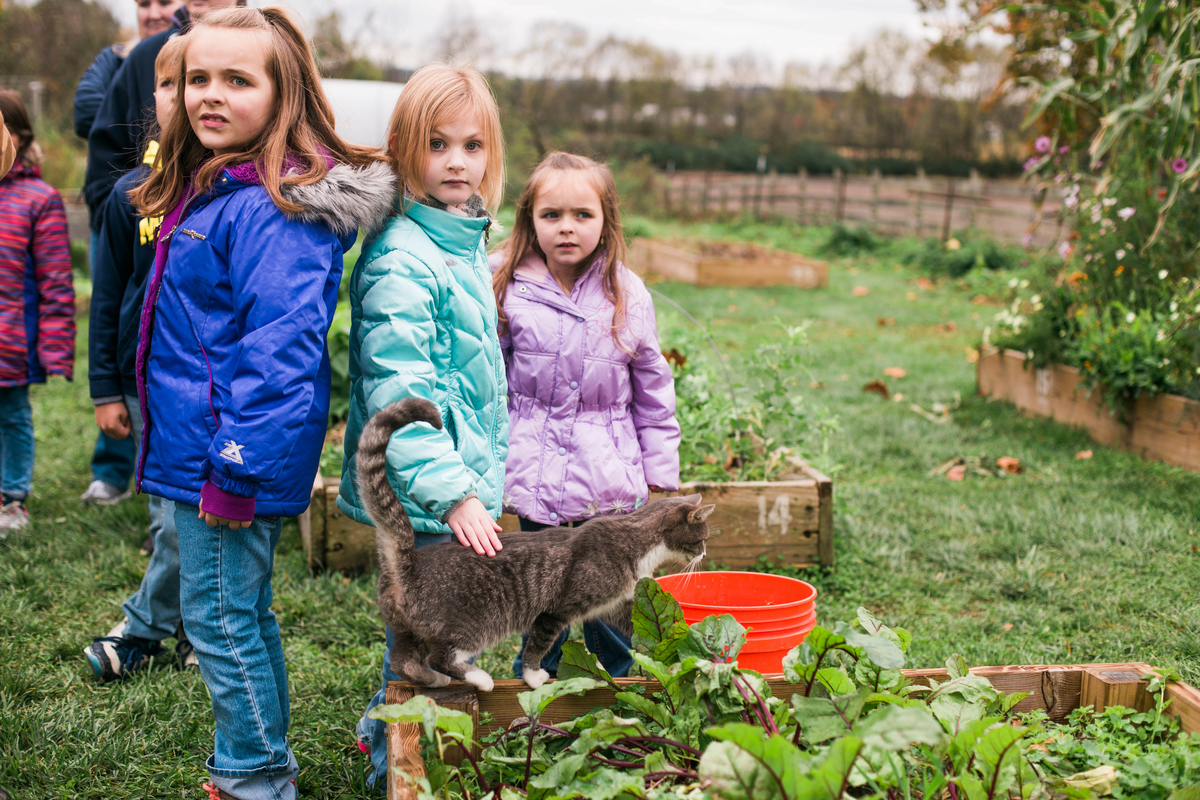 Digital Academy students visit the Learning Tree Farm - TRECA