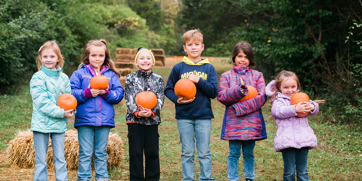 Digital Academy students visit the Learning Tree Farm - TRECA