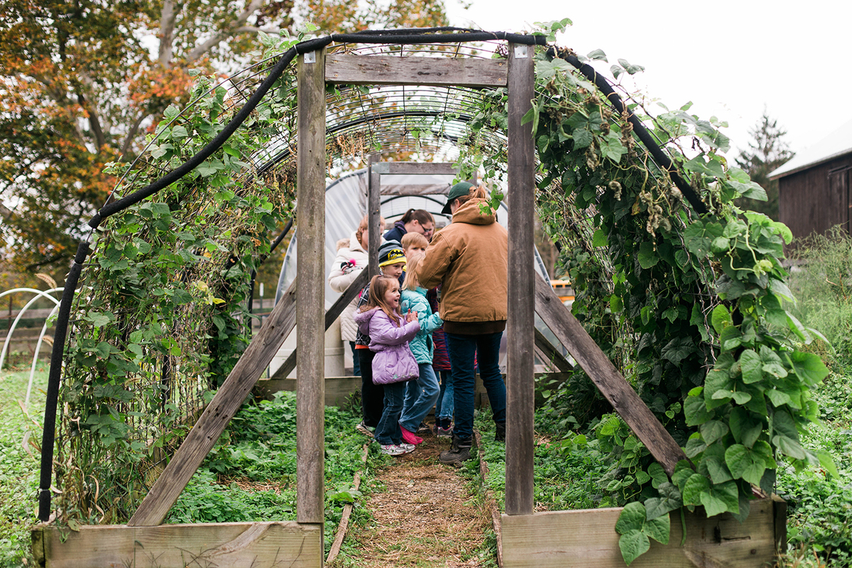 Digital Academy students visit the Learning Tree Farm - TRECA