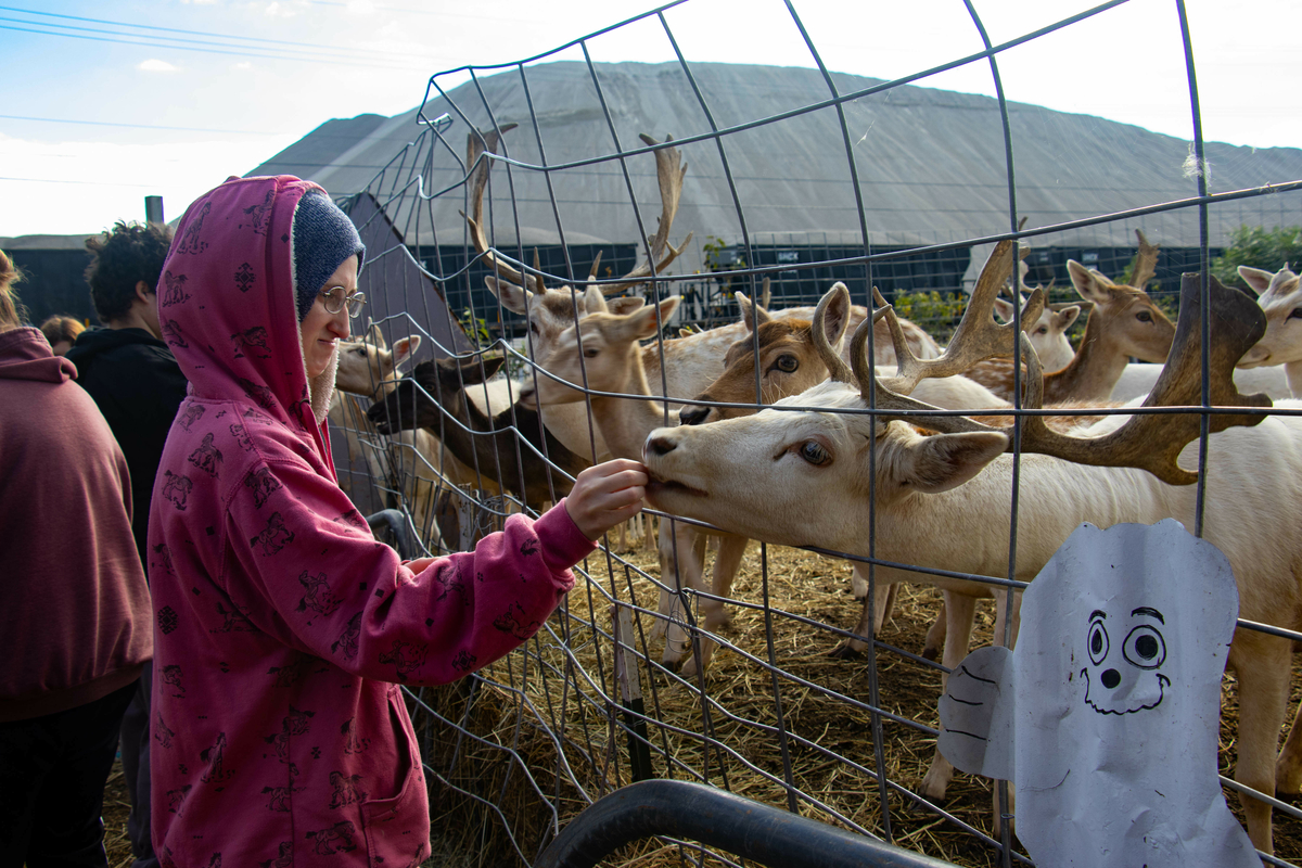 Students Visit Country Lane Tree Farm - TRECA